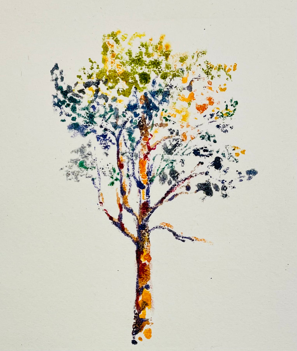 Bodil Drange Pedersen – Soli Brug