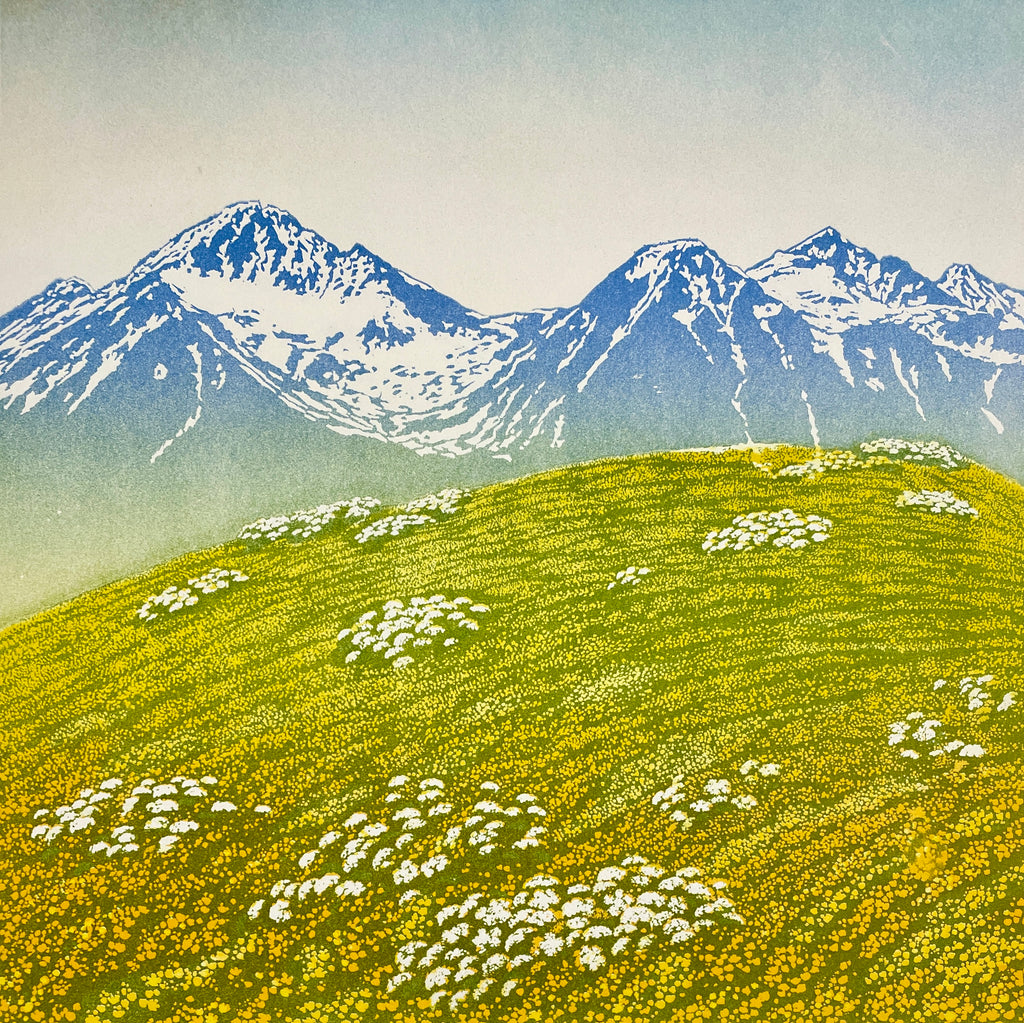 Jan Harr | Februar | Soli Brug Nettbutikk