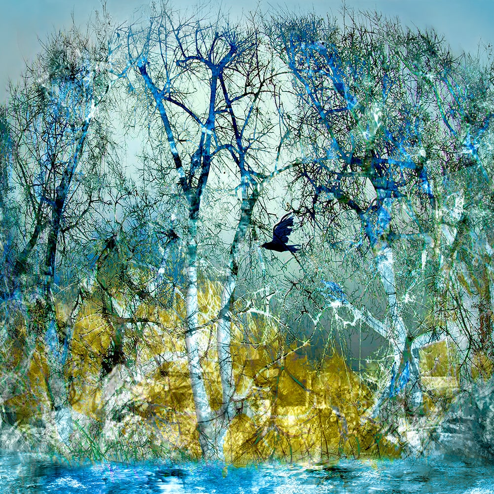 Liz Ravn | Forest of Fall | Soli Brug Nettbutikk