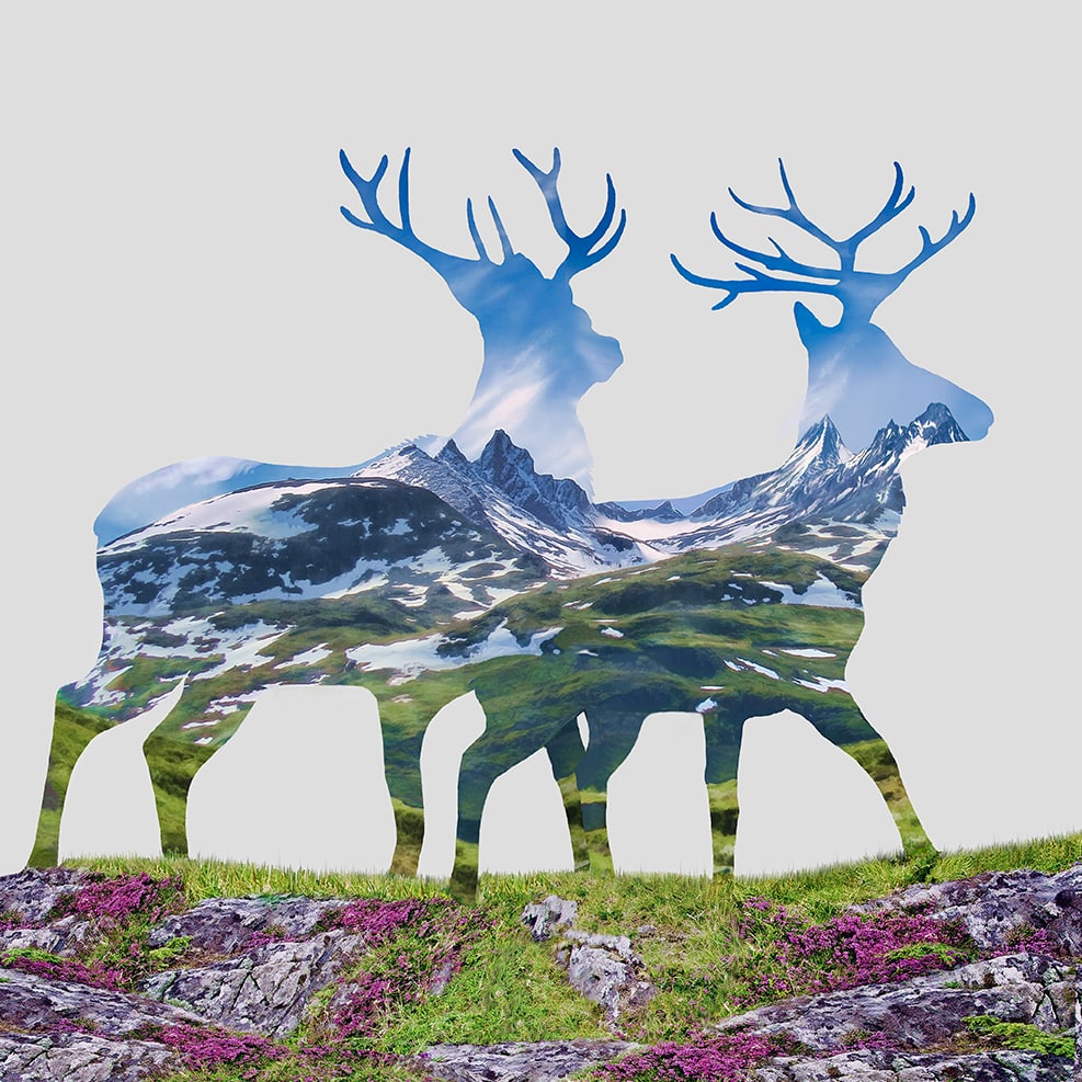 Liz Ravn | Shaped By The Environments | Soli Brug Nettbutikk